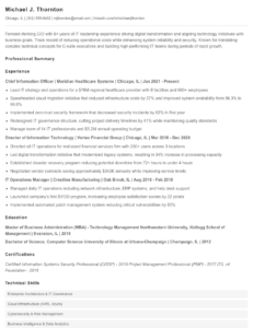 Chief Information Officer Resume Examples & Templates 2025 - Resume.AI