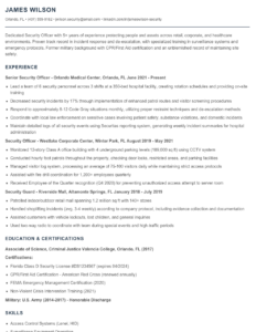 Security Officer Resume Examples & Templates 2025 - Resume.AI